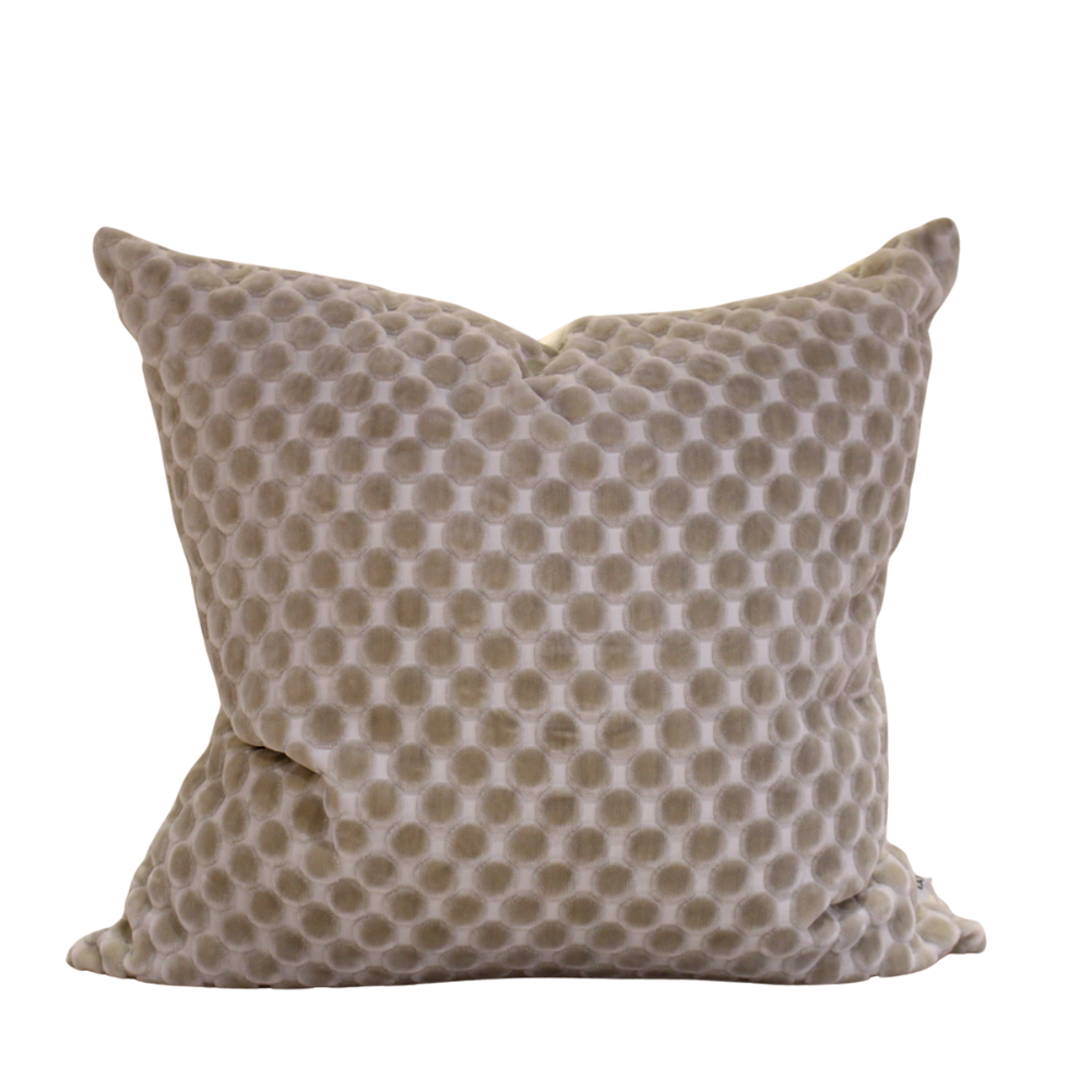 PENNY LOTUS – Percomx