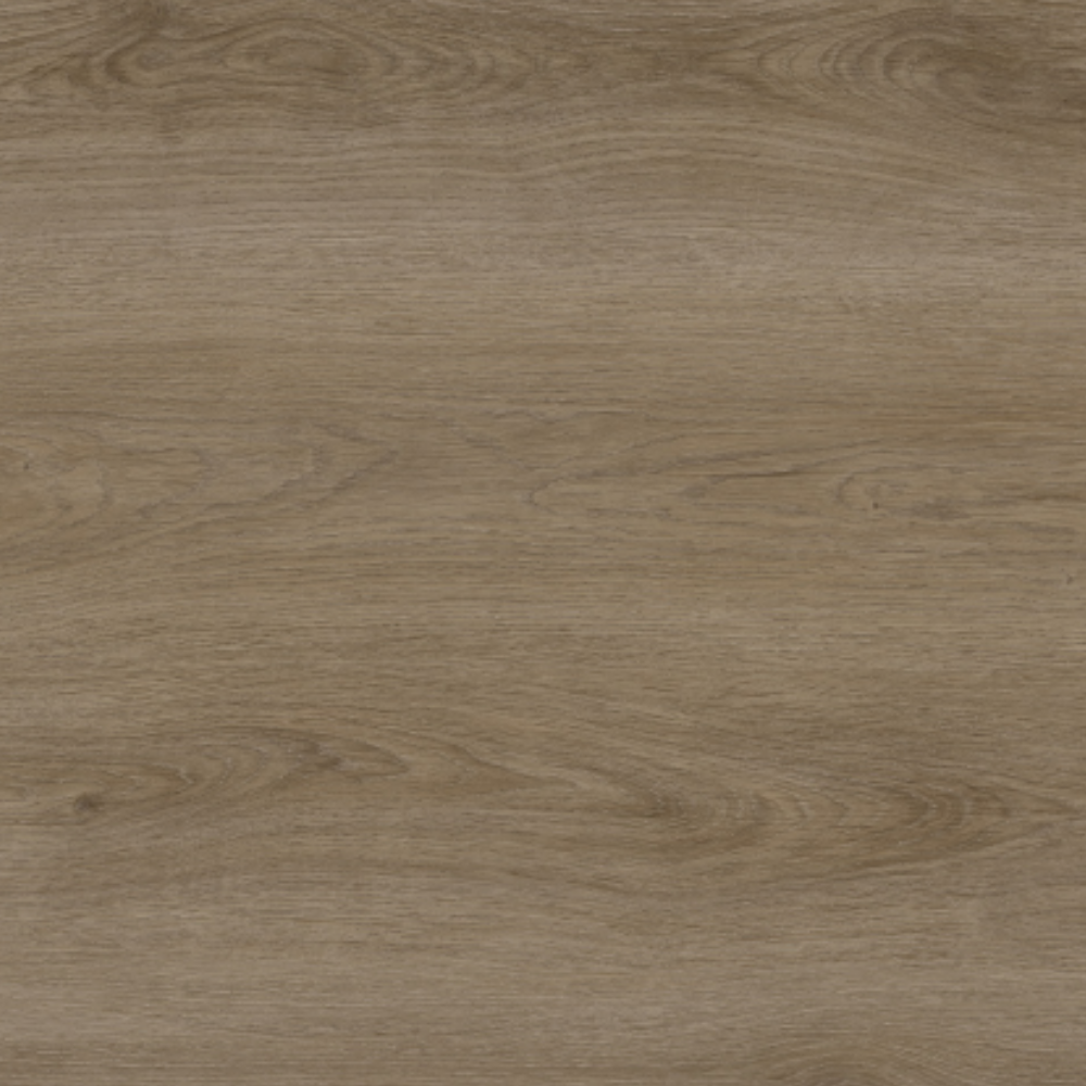 MIDNIGHT – Percomx